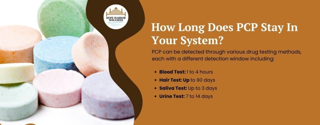 How Long Does PCP Stay in Your System?