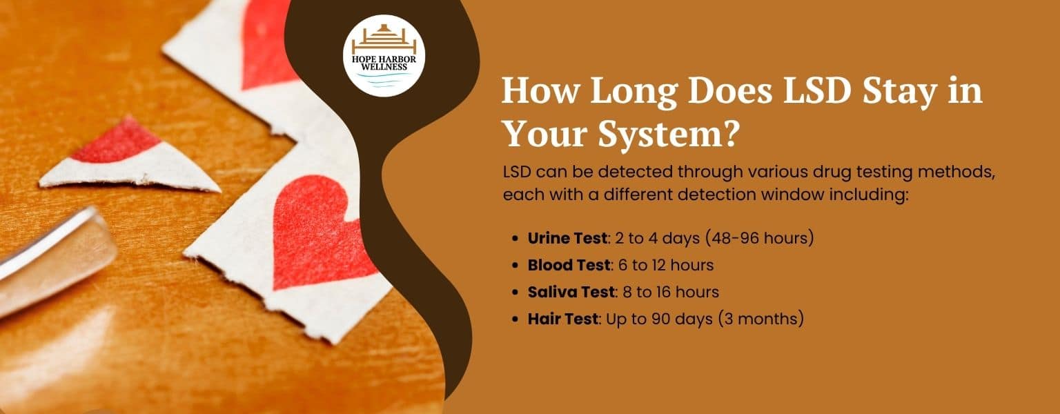 How Long Does LSD Stay in Your System?