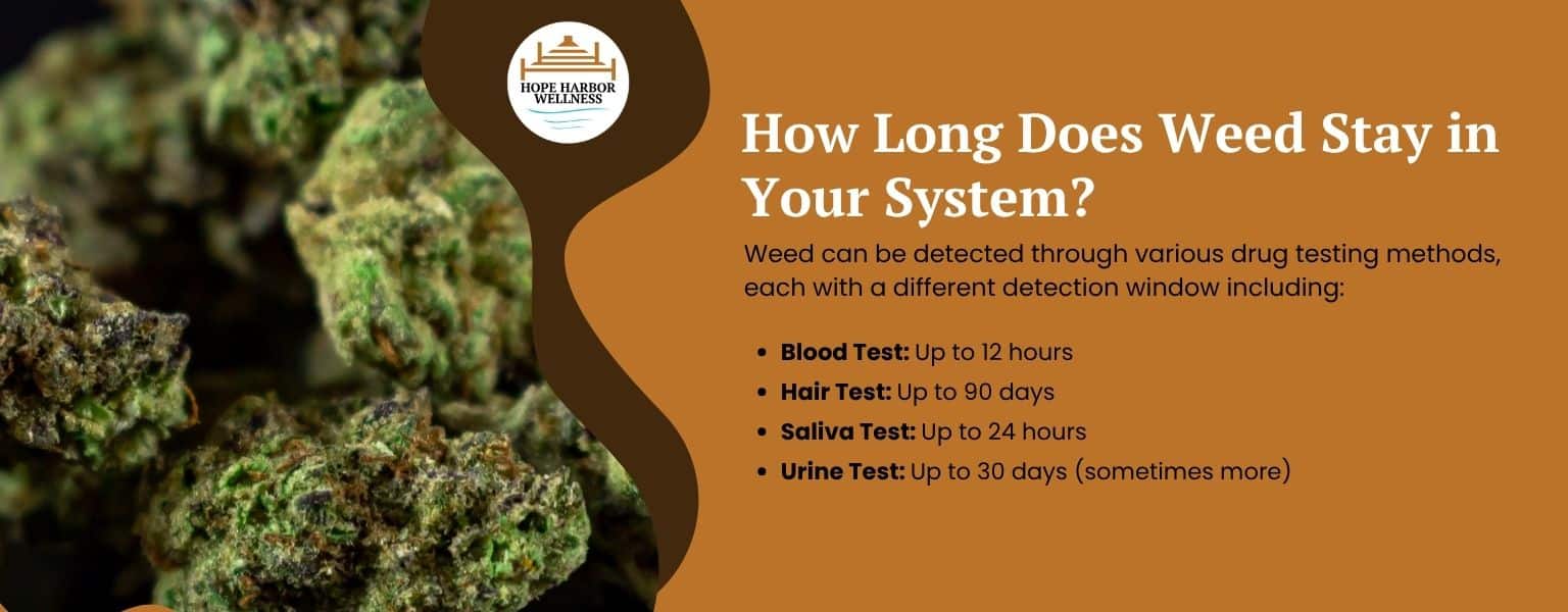 How Long Does Weed Stay in Your System?