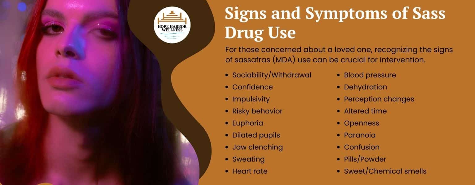 What Is Sassafras? Sassafras Effects, Risks and Treatment