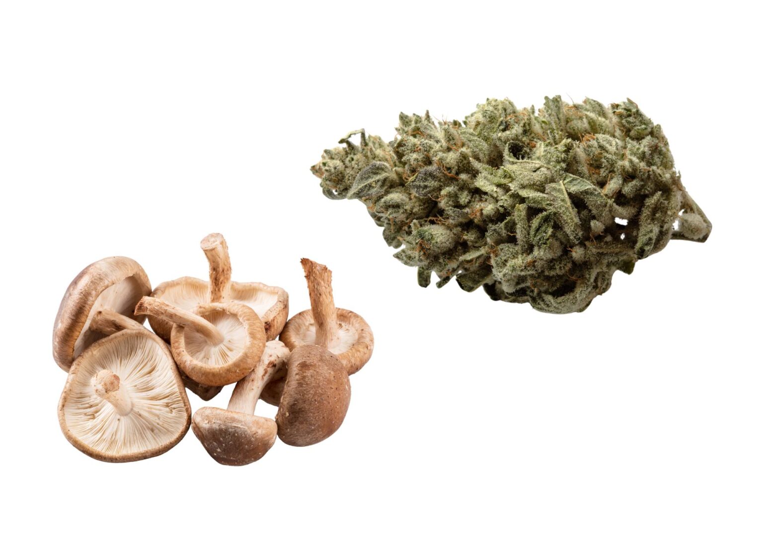 Effects of Mixing Shrooms and Weed