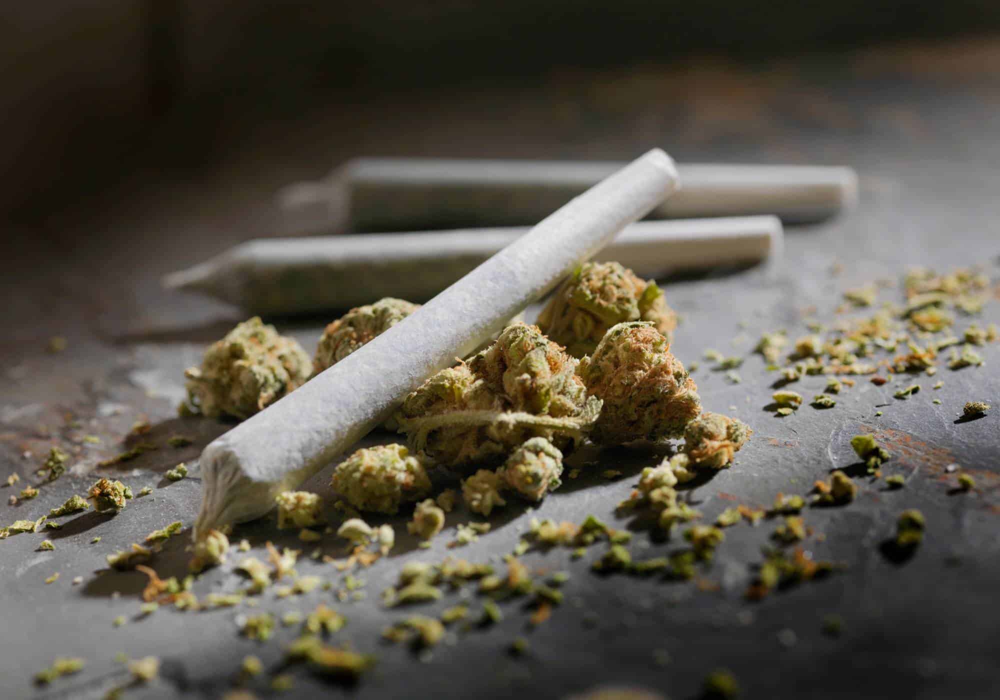 Indica vs. Sativa: What’s the Difference